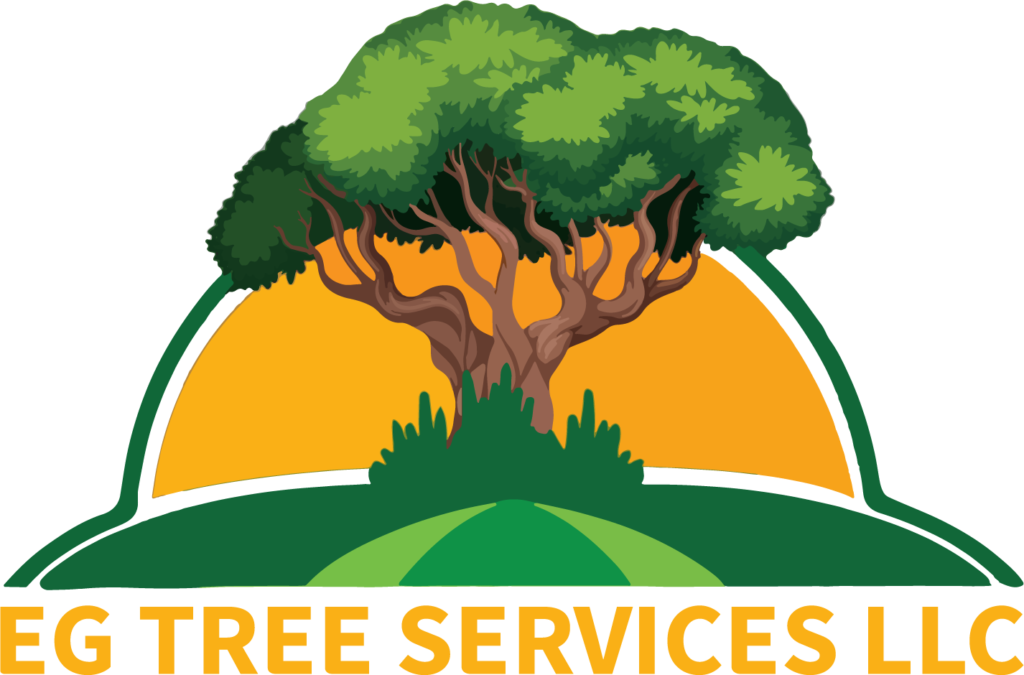 Top Quality Tree Services in Cleveland, TX